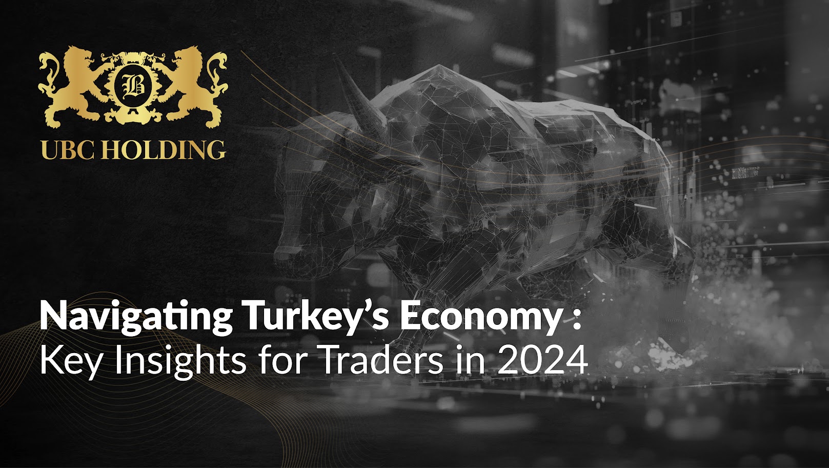 Navigating Turkey's Economy Best Insight for Traders in 2024